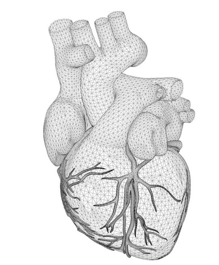 Cardiovascular Genomics and Precision Medicine – Imperial College ...