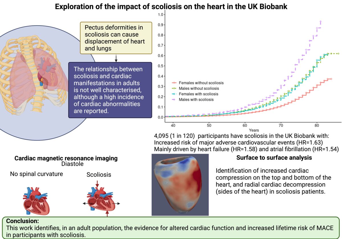 Identification of an increased lifetime risk of major adverse ...